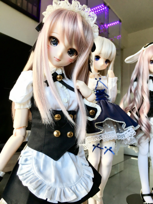 Dollfiedream On Tumblr