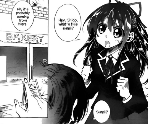 Shido Itsuka Tumblr