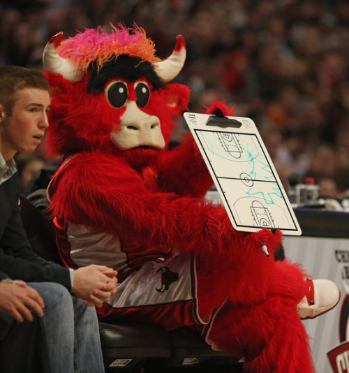 Benny The Bull On Tumblr