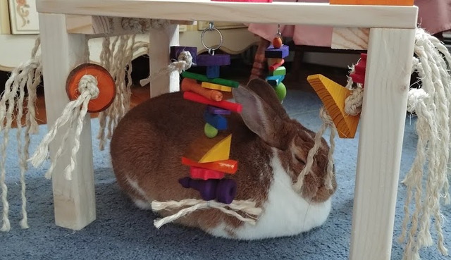 Bunny Loaf