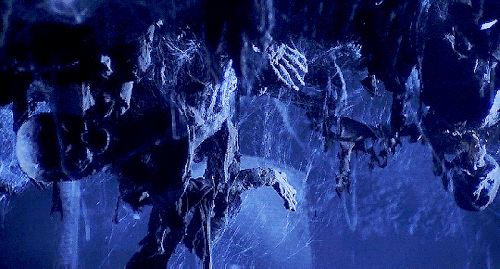 City Of The Living Dead On Tumblr