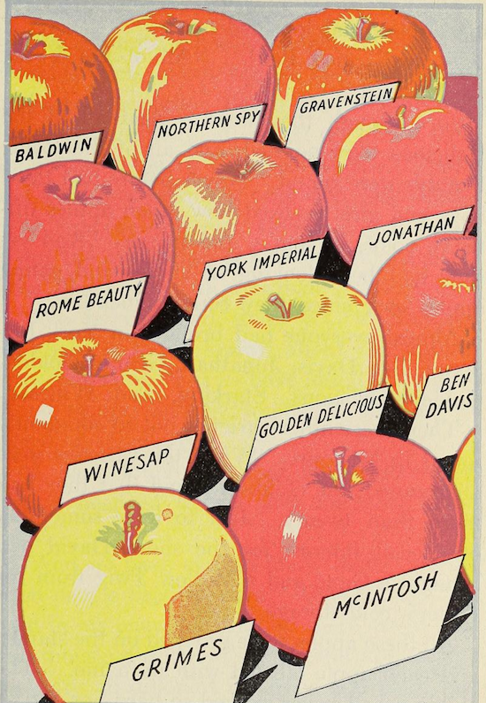 nemfrog - Apples and apple names. Exploring New Fields.... nemfrog - Apples and apple names. Exploring New Fields....