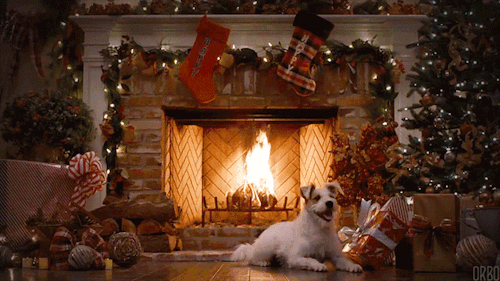 Yule Log On Tumblr