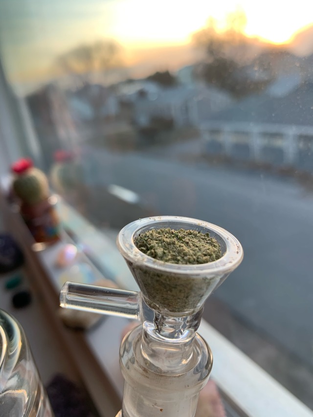 Bong Rips On Tumblr