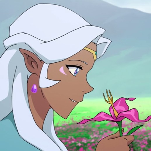 Voltron Legendary Defender — Ace Pidge Princess Allura Icons
