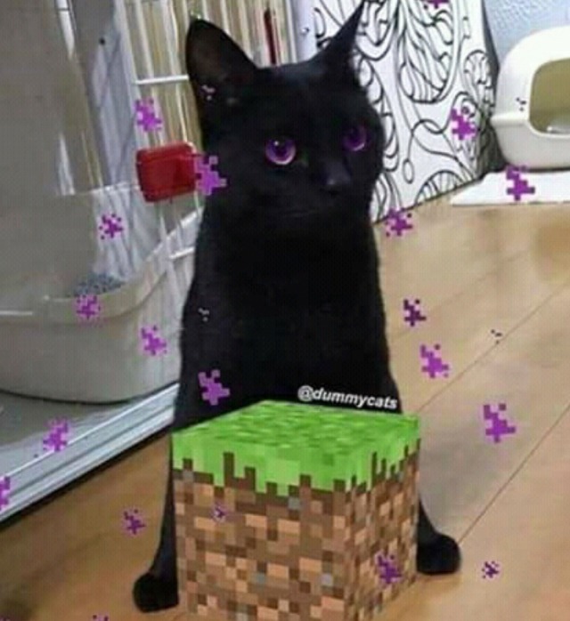 Enderman On Tumblr