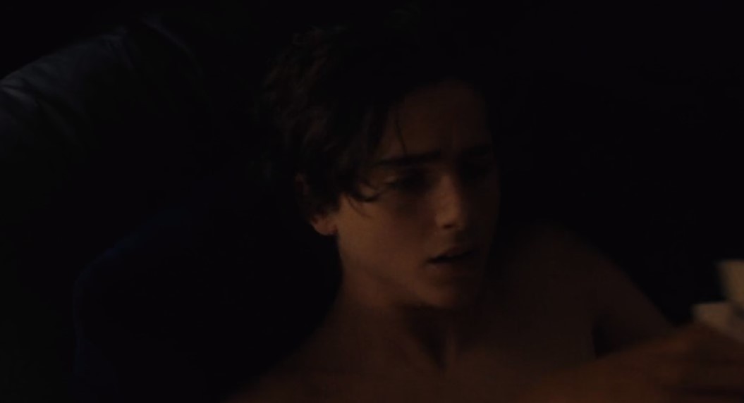Timothee Chalamet Lpsg