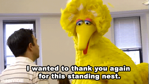 Funny Or Die — Via Big Bird Interns At Funny Or Die