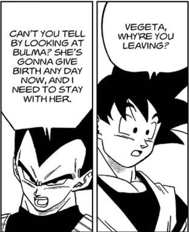 Vegeta Staying With Bulma For The Pregnancy In The