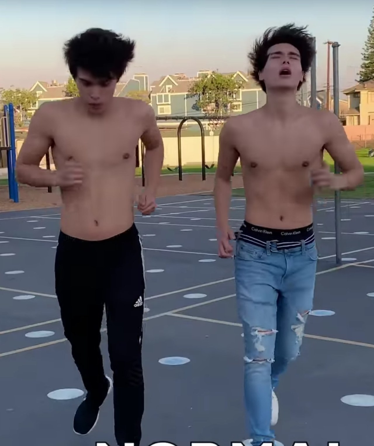 Les Beautés De La Nature Stokes Twins