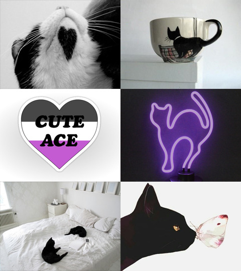 Youre Loved — Begayandvirtuous Asexual Cat Aesthetic For