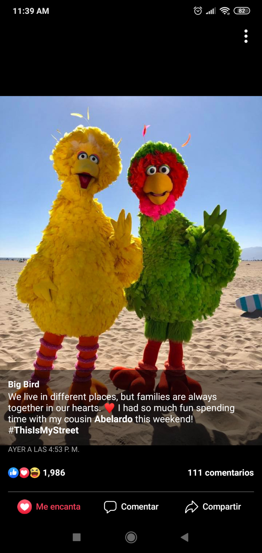 Blackmulticolor — Big Bird And His Mexican Cousin Abelardo Dont