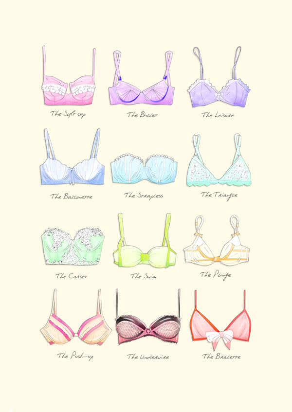 A Visual Glossary Of Brassiere Types Most