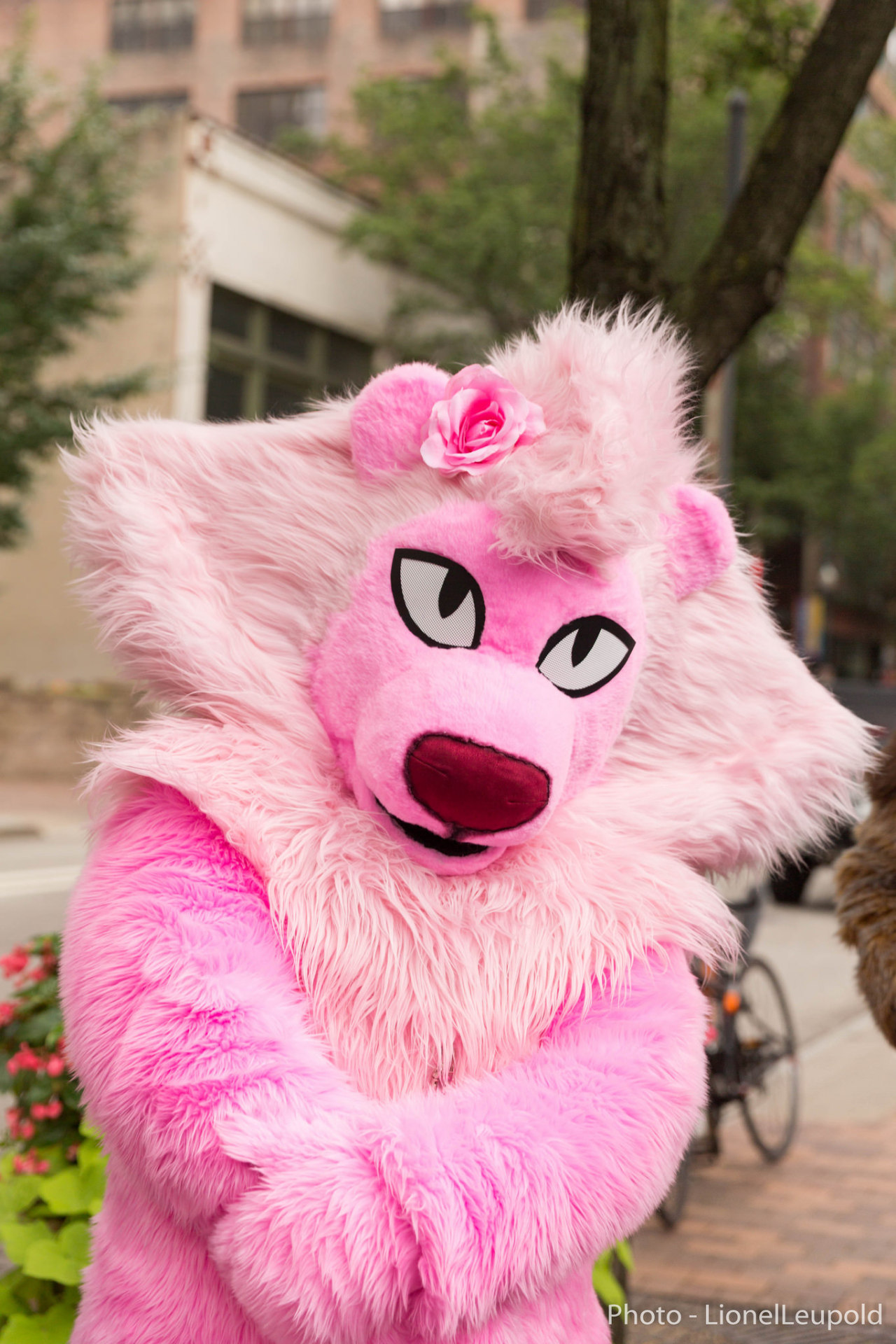 The Mane Event Lion Fursuit For Sale