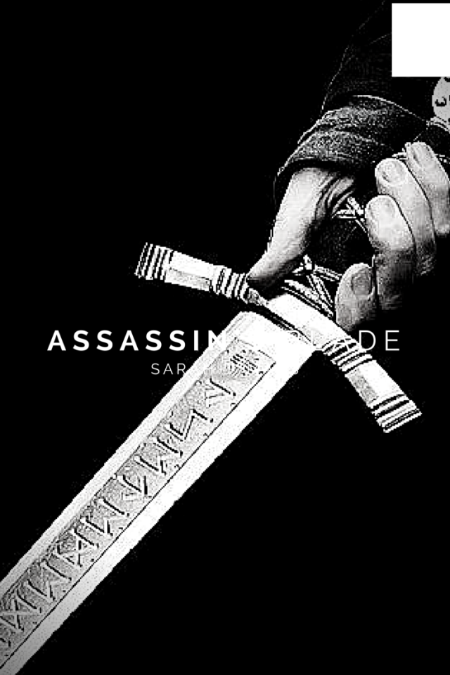 ⋆ To Whatever End ⋆ Alternative Book Covers [1 5] Assassins Blade