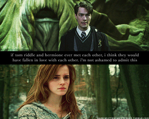 The Three Broomsticks If Tom Riddle And Hermione Ever Met Each Other I