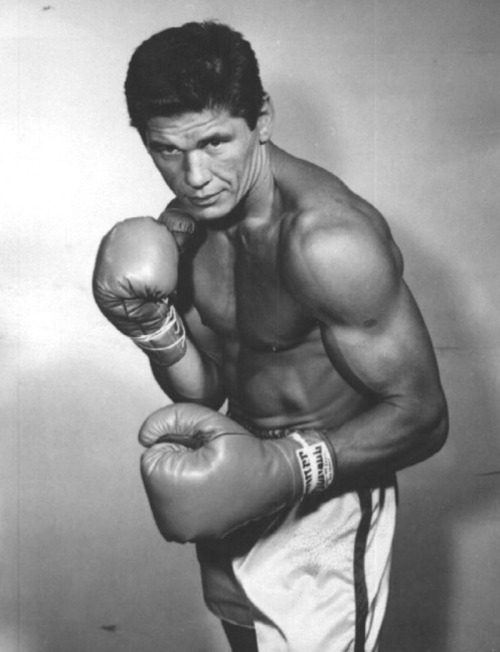 Sala66 — Iamheathcliff Bronson Charles Bronson