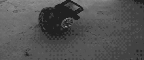 Bunny On Tumblr